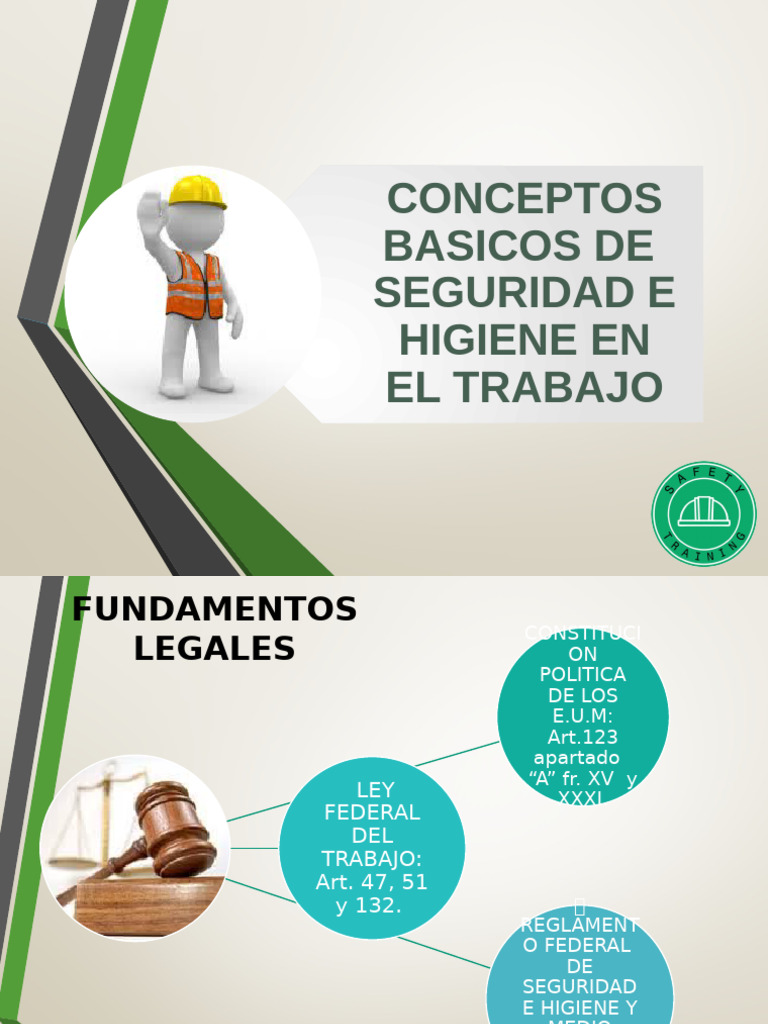 1.- CONCEPTOS BASICOS DE SEGURIDAD E HIGIENE EN EL TRABAJO | PDF | La seguridad