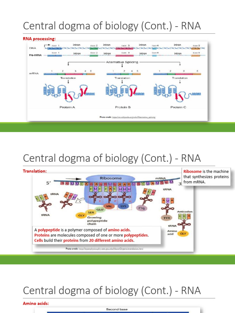 FE - BME - 400 - BI - Week 04 - Lec | PDF