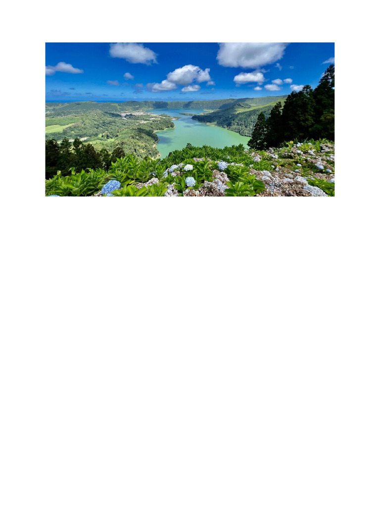 Nowy Dokument Programu Microsoft Word - Kopia (3) - Kopia | PDF