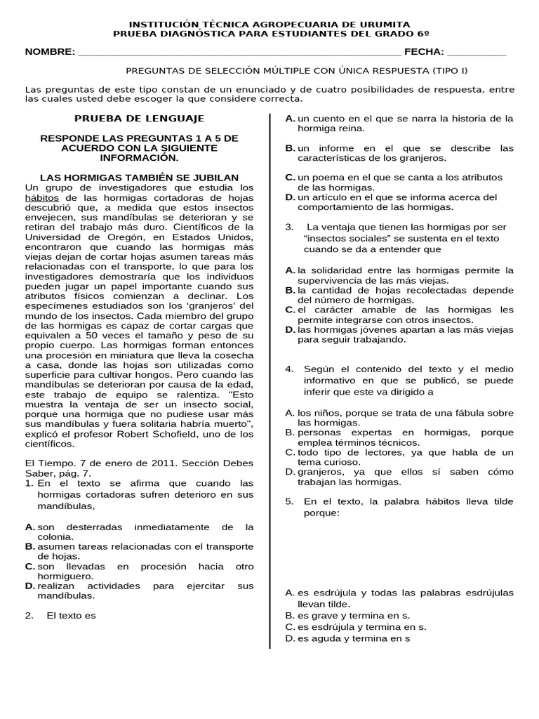 Prueba Diagnóstica de Lenguaje 6º grado | PDF | Hormiga | De fumar
