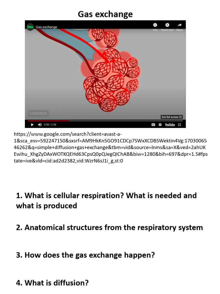 Understanding Gas Exchange Mechanisms | PDF