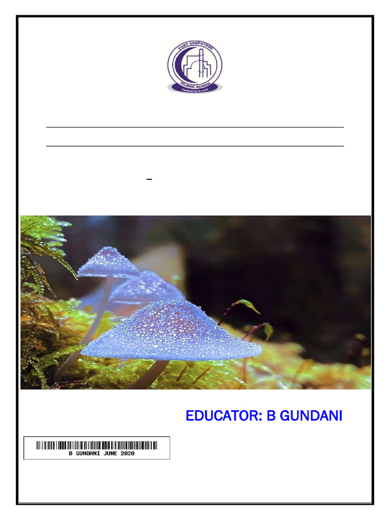 GR12 MATHS PSIS Motion in A Staright Line | PDF | Velocity | Volume