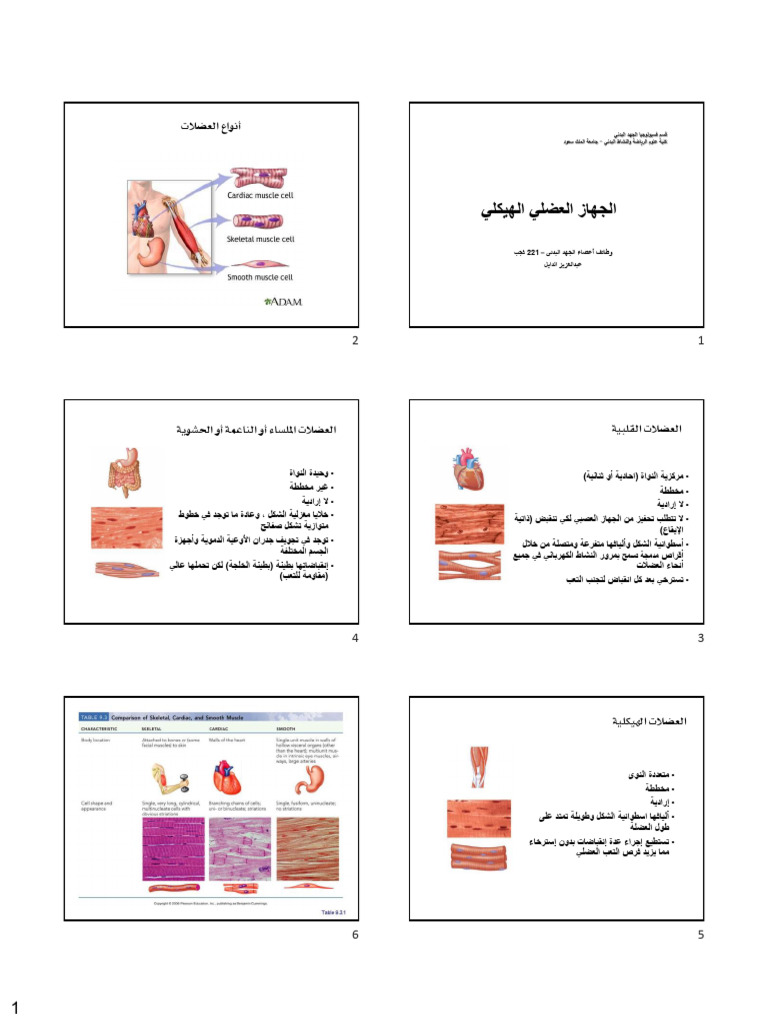 LJHZ Ldly Lhykly | PDF