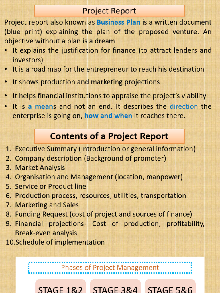 Comprehensive Project Report Guide | PDF | Cost–Benefit Analysis ...