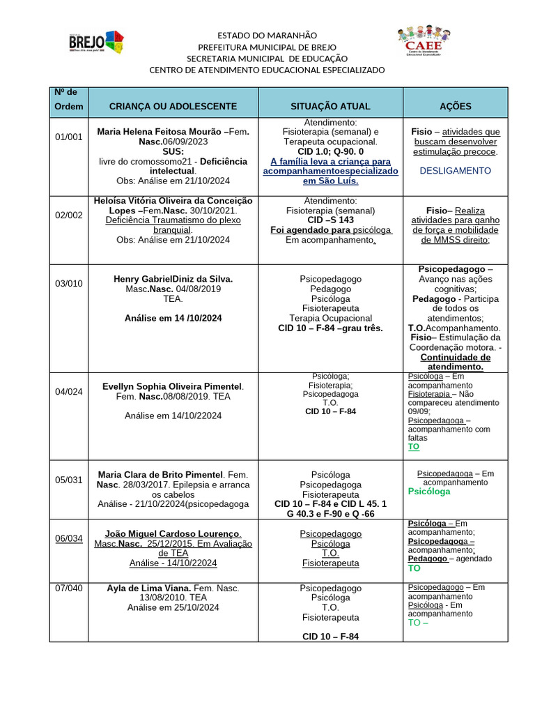 Relatório de Atendimento Educacional Especializado em Brejo | PDF ...