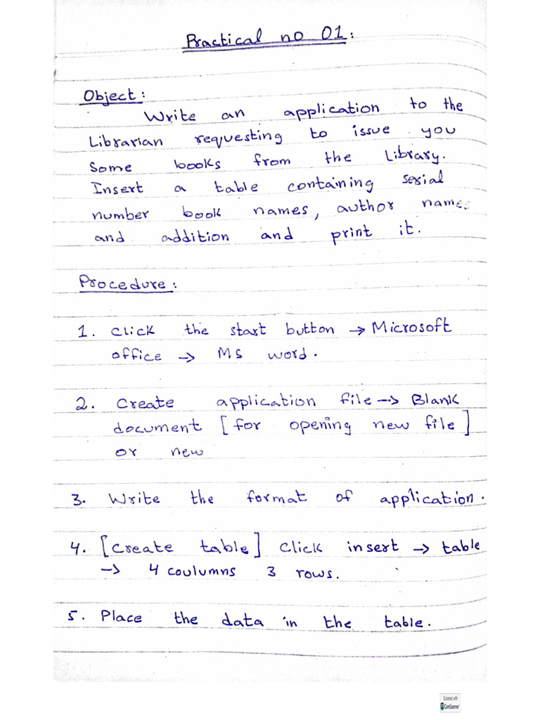 Ms Word Practical Comp. Sci | PDF