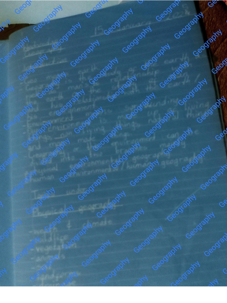 ACE Scanner_2025_02_02(1)-copy | PDF