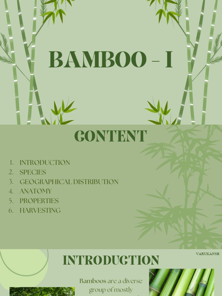 BAMBOO | PDF | Bamboo | Plant Stem