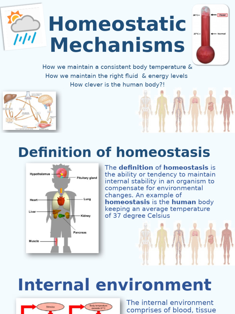 B1-Homeostatic-thermoregulation | PDF | Homeostasis | Thermoregulation