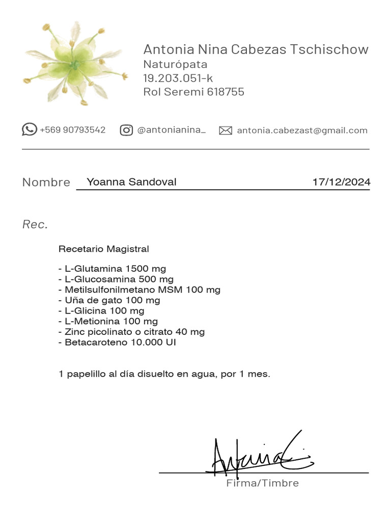 Recetario Magistral Yoanna Sandoval 17:12:2024 | PDF