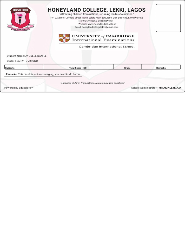 Ayodele Daniel Year 9 Diamond Report | PDF