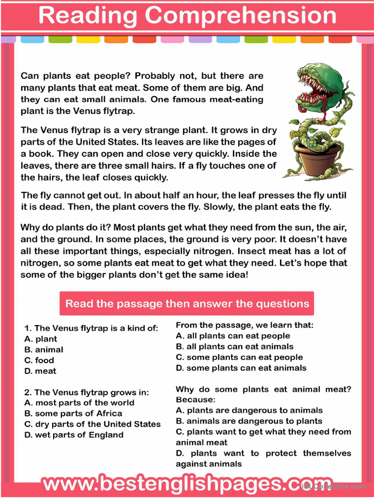 The Flytrap - Reading Comprehension | PDF