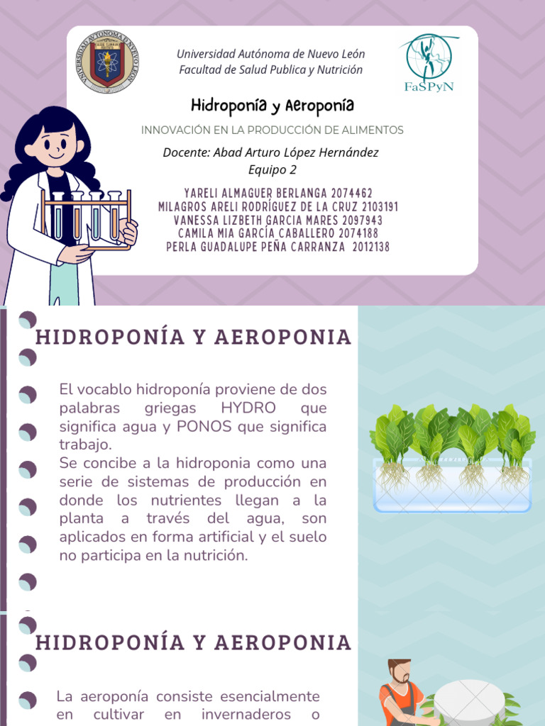 Hidroponía y Aeroponía_Equipo 2. | PDF | Hidroponia | Agricultura