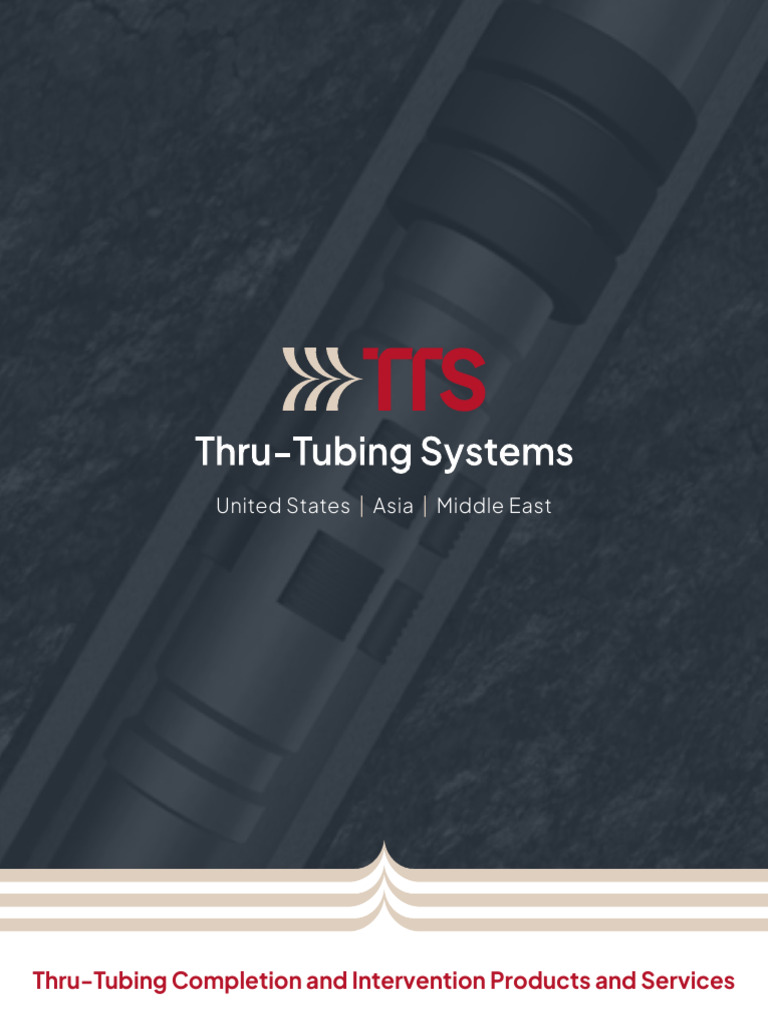 Thru Tubing Systems (TTS) - PKR-PBP-RBP - WI-ZI-WSO-PB - DataSheet ...