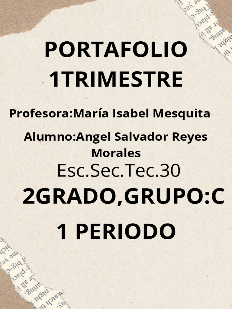 EJEMLO DE PORTAFOLIO ESCOLAR | PDF