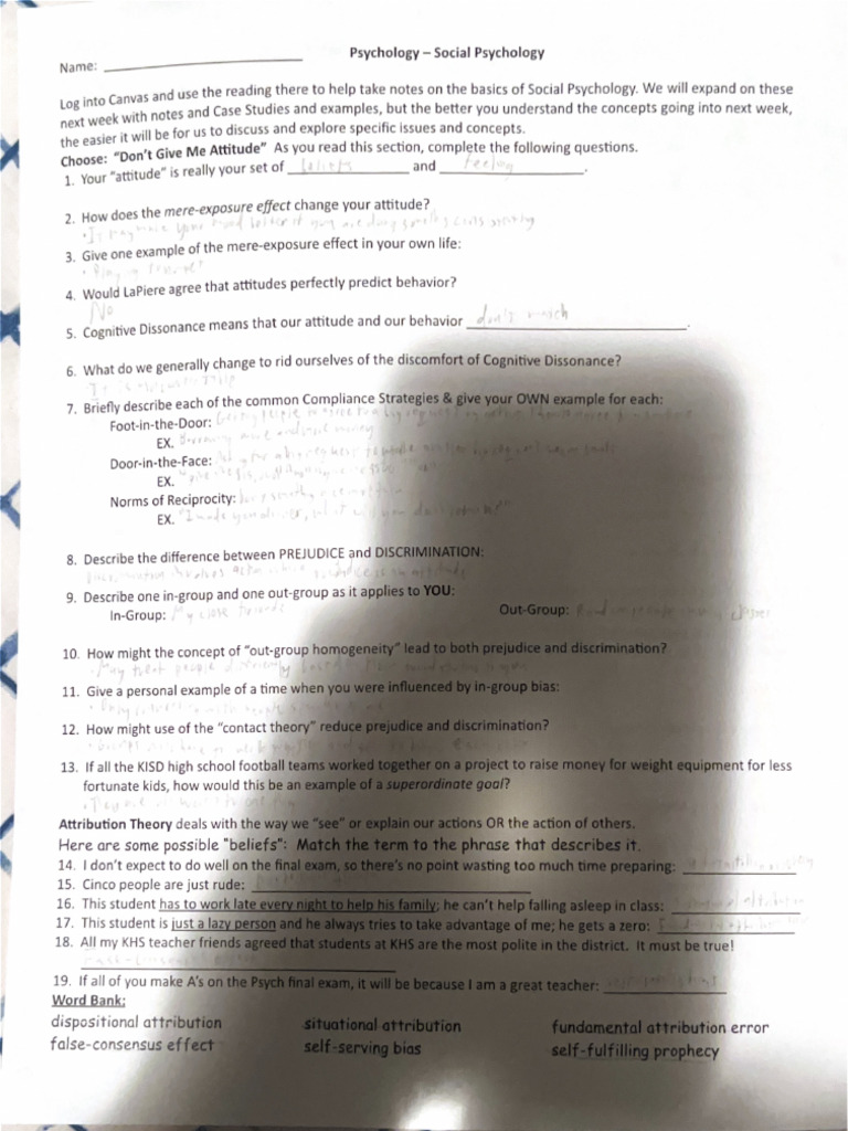 Social Psychology WS | PDF