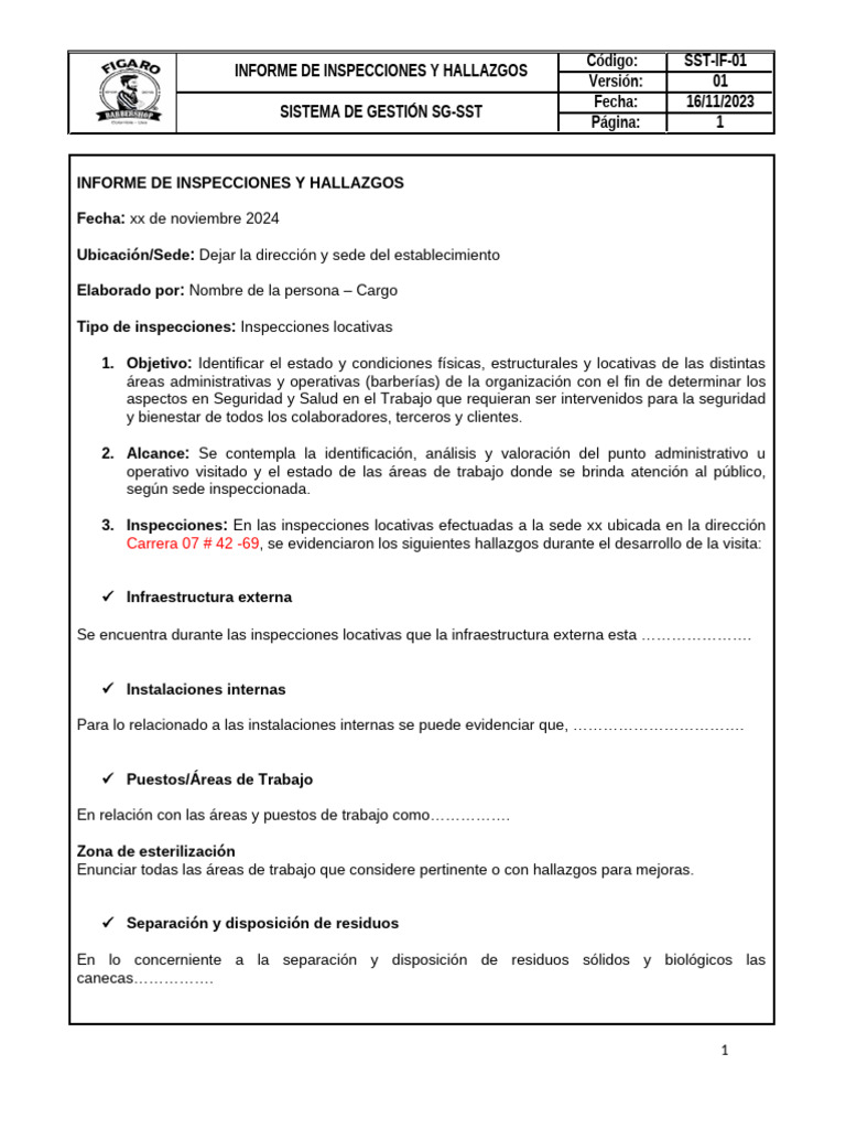 Formato Informe de Inspecciones y Hallazgos | PDF