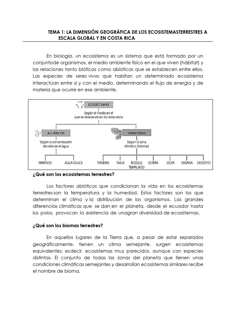 biomas y bosques setimo val | PDF | Ecosistema | Sabana