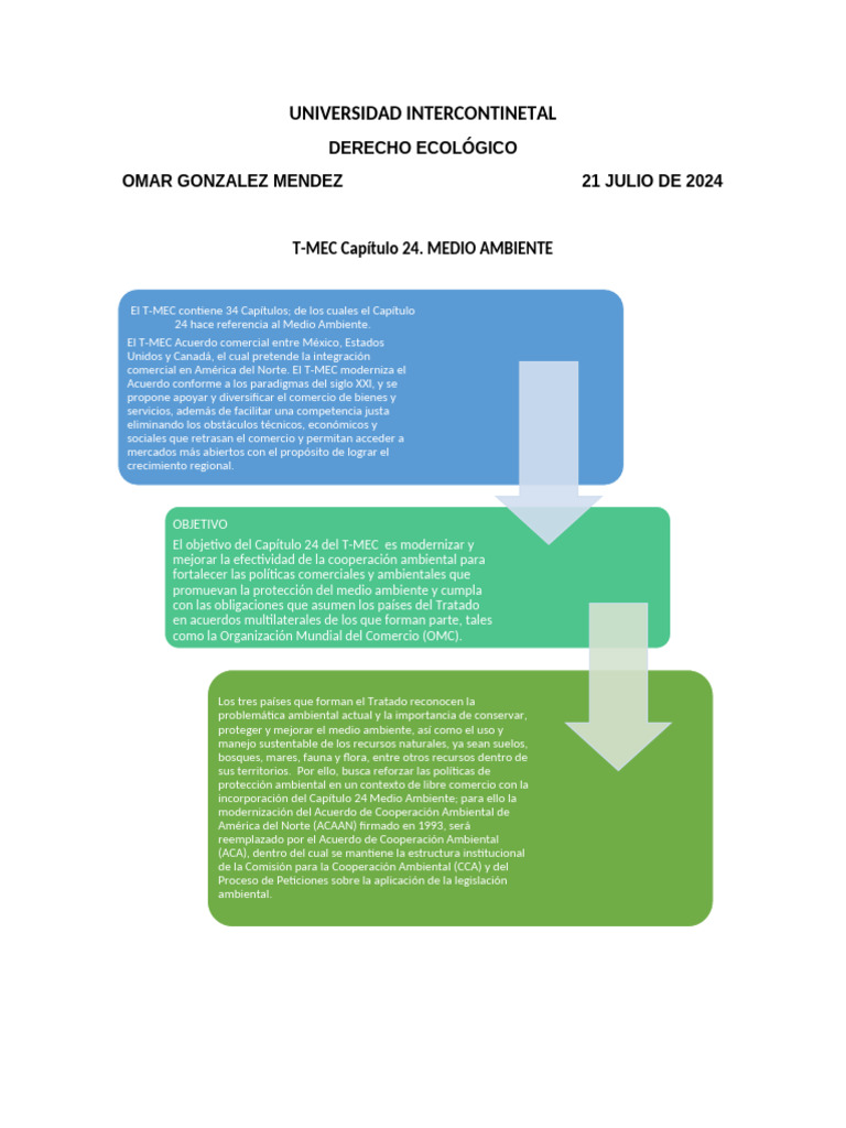 Mapa Conceptual T-Mec Cap. 24 | PDF | Entorno natural | Economias