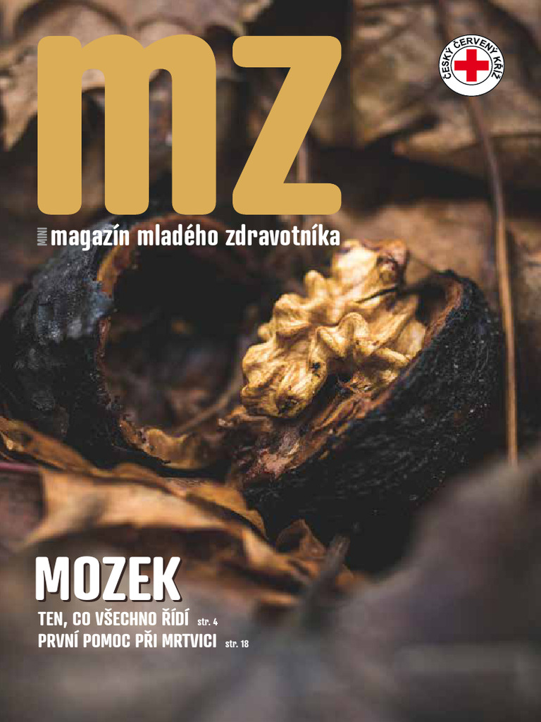 Mozek | PDF