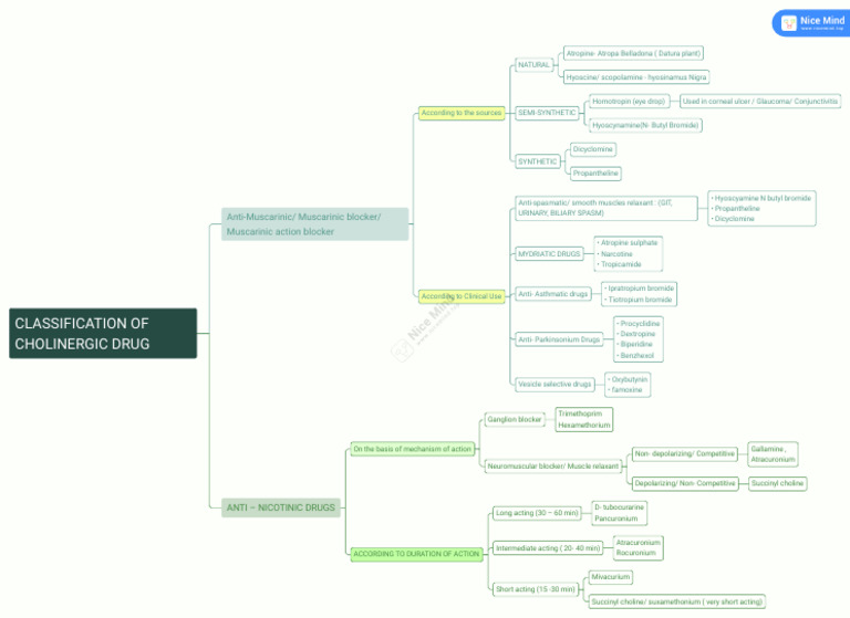 Classification of Cholinergic Drug | PDF | Neurochemistry | Drugs ...