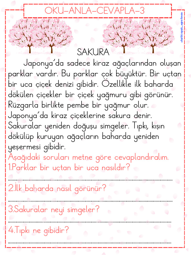 Oku Anla Cavapla Boya 3 | PDF