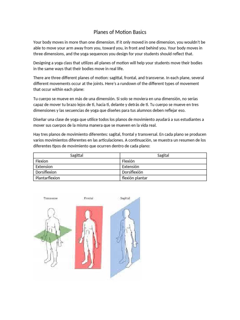 Planes of Motion Basics | PDF