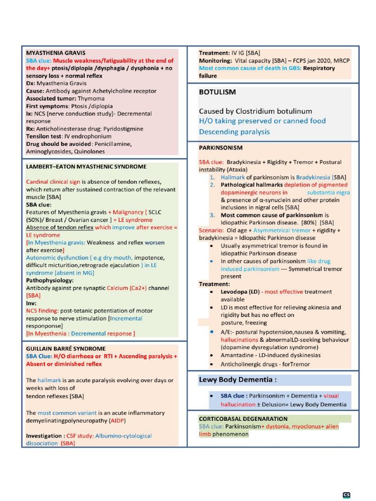 Neurology Review Sheet | PDF