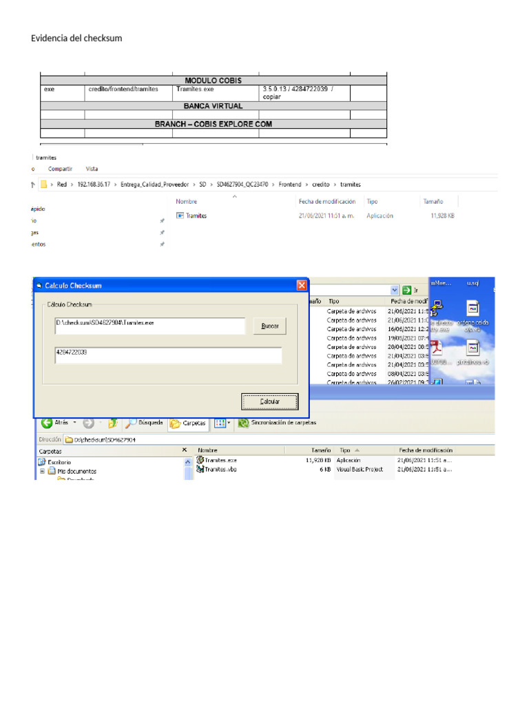 Evidencia Del Checksum | PDF