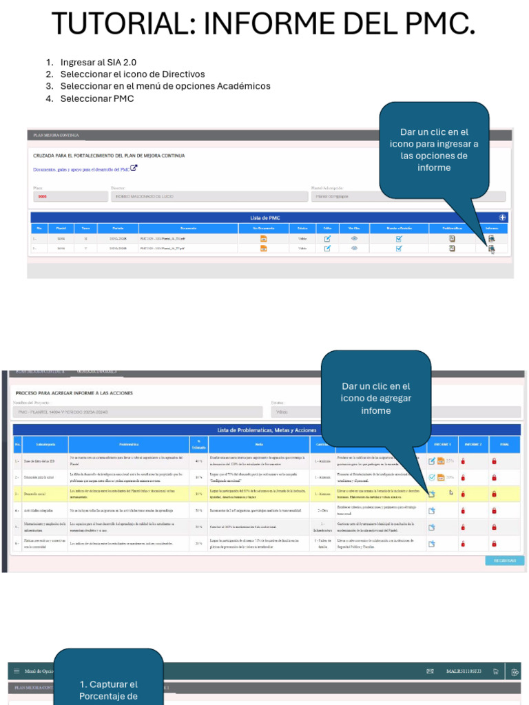 TUTORIAL INFORME PMC | PDF