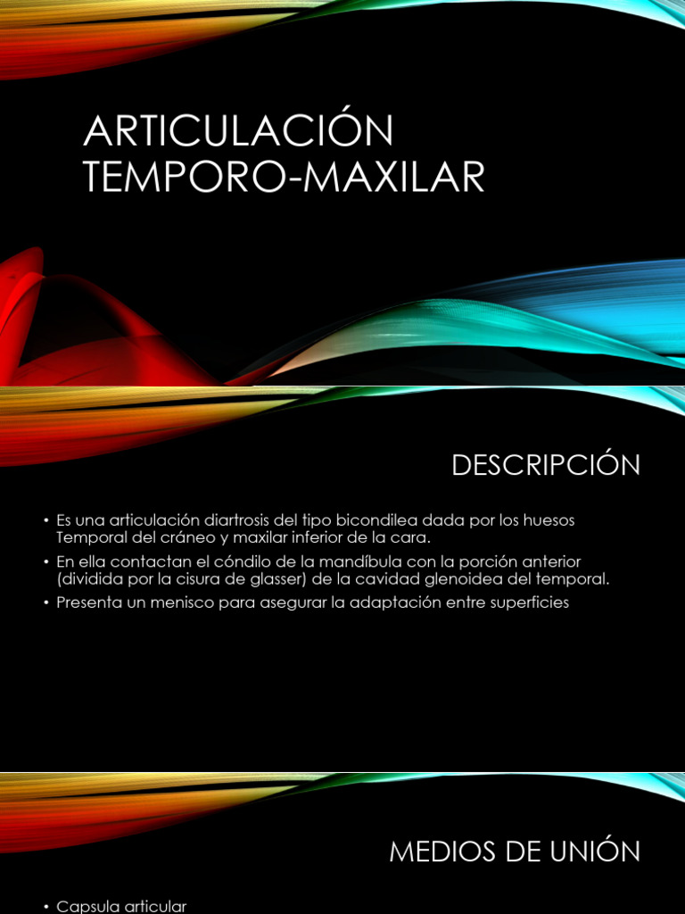 Articulación Temporo-Maxilar: Estructura y Función | PDF