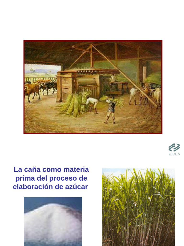 Breve Descripción Proceso Produccion Azúcar | PDF | Azúcar | Dieta y ...
