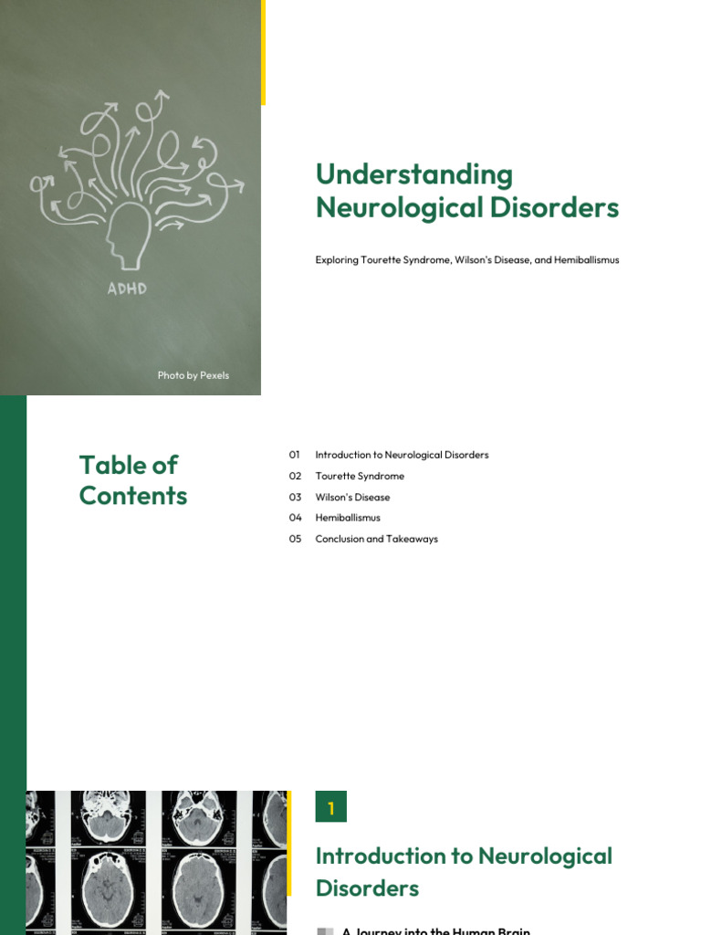 UnderstandingNeurologicalDisorders 3PBIBUcU | PDF | Tourette Syndrome | Mental Disorder