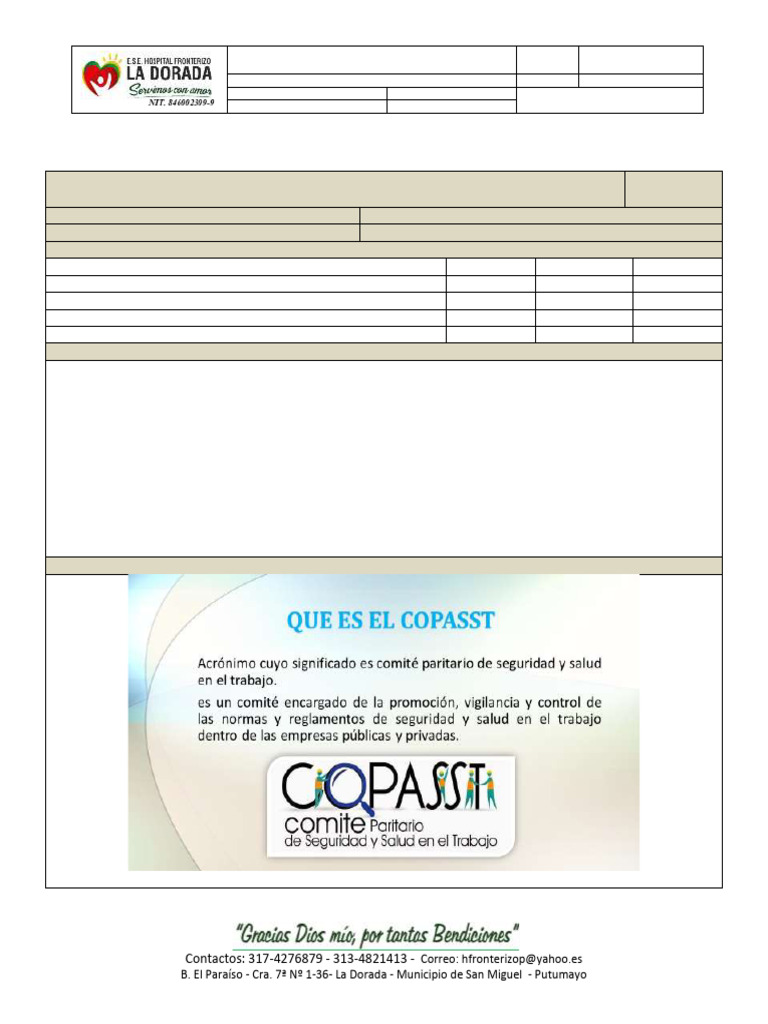 1-1-5.CAPACITACION COPASST | PDF | Hospital | Valores