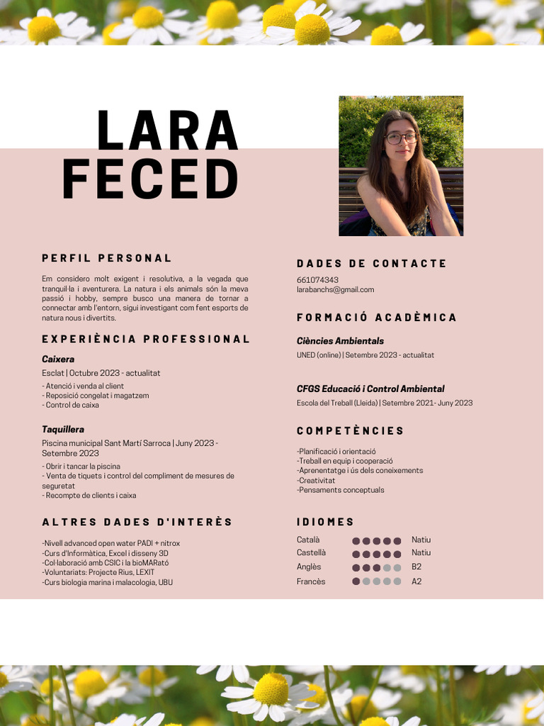 CV Lara F | PDF