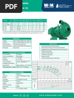 Ficha Tecnica Bombas | PDF