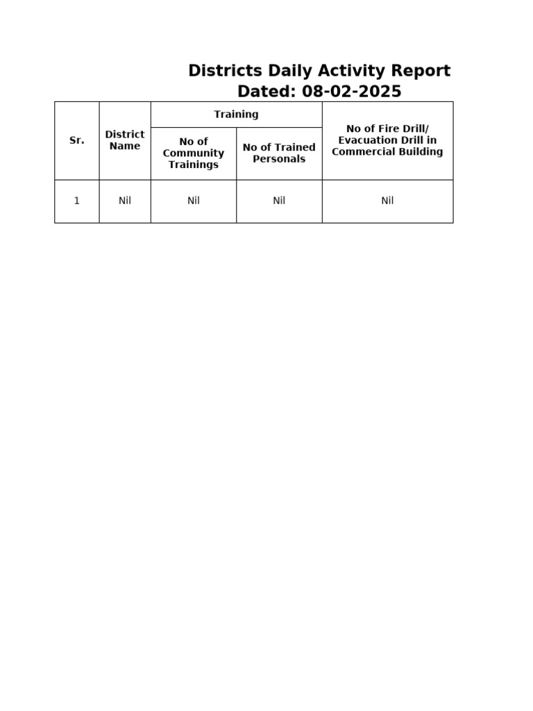 Daily Activity Report | PDF