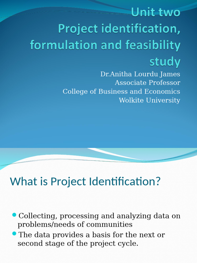 Project II | PDF | Feasibility Study | Risk