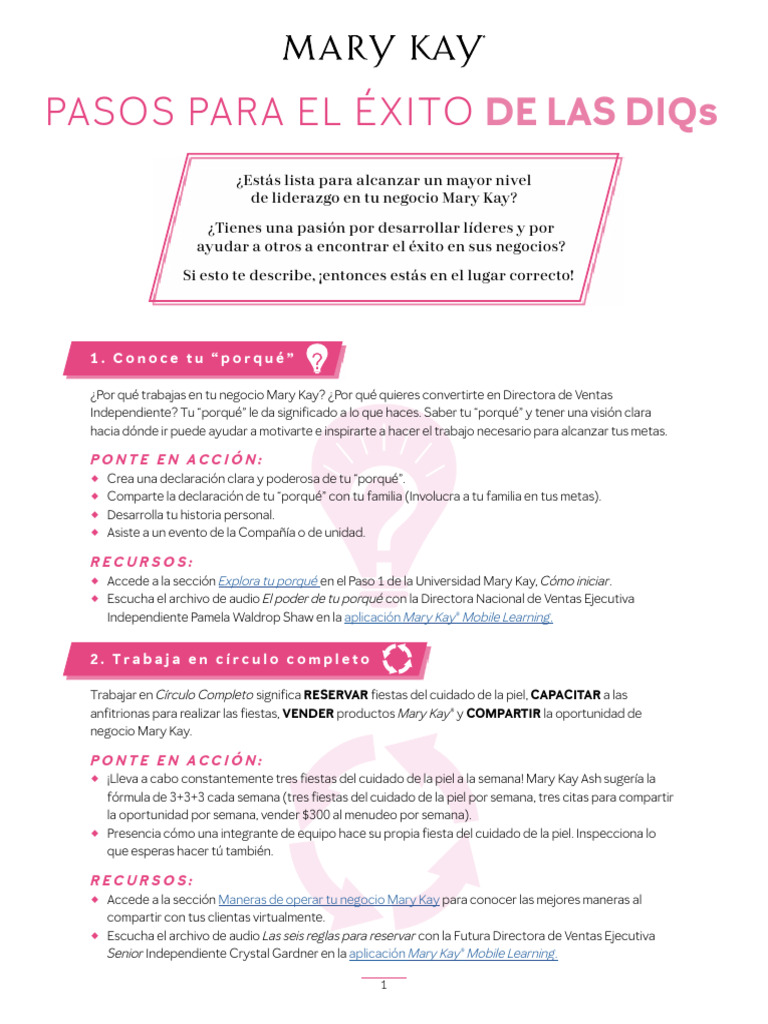 Pasos para El Exito de Las DIQ | PDF