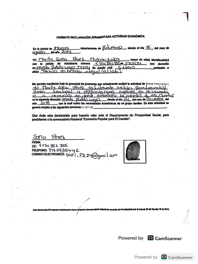 Declaracion Juramentada | PDF