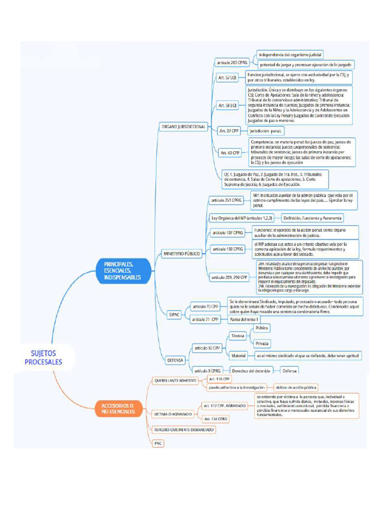 Sujetos Procesales | PDF