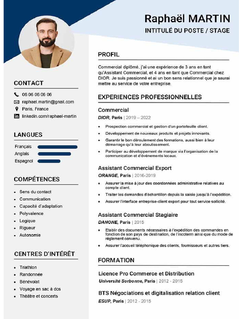 Blank CV Template | PDF