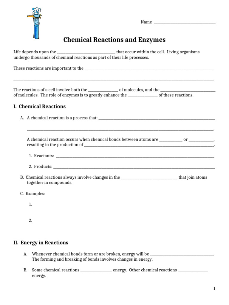 Enzyme Guided Notes | PDF | Enzyme | Chemical Reactions