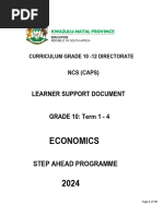 Economics Grade 10 Eclassroom Term 3 Notes | PDF | Taxes | Mining