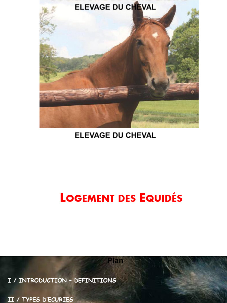 Logement Optimal des Équidés | PDF | Chevaux | Equus (genre)