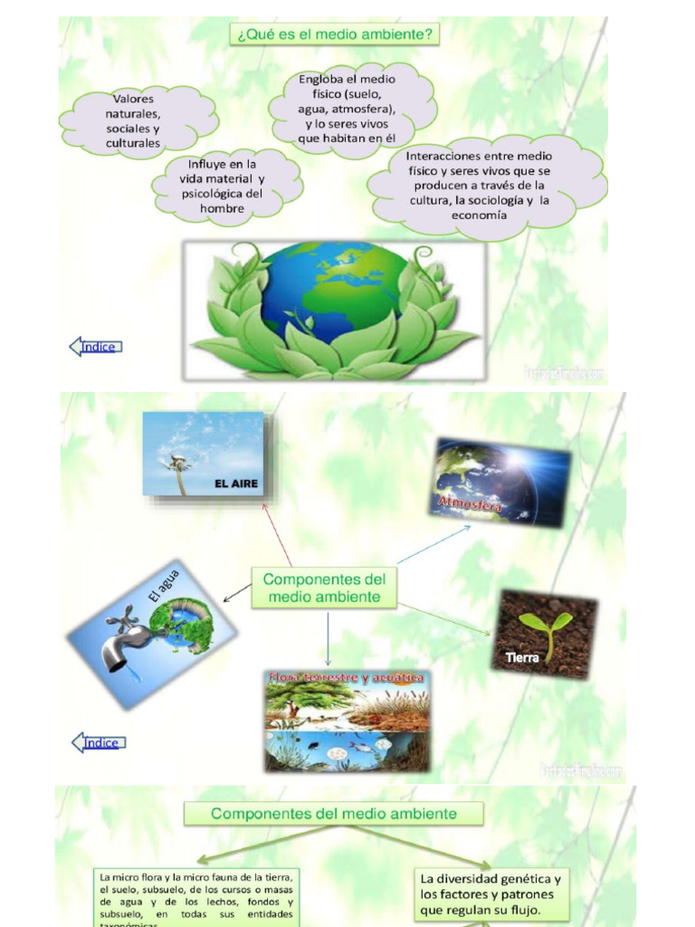 componentes del medio ambiente | PDF