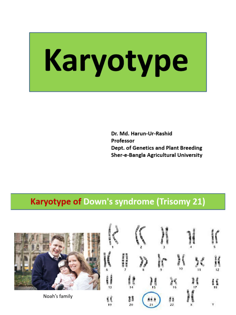 Karyotype (1) | PDF | Karyotype | Chromosome