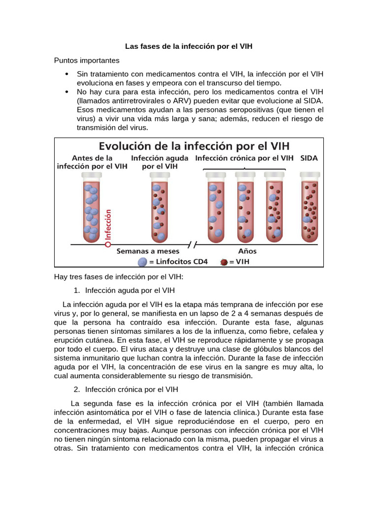 Las Fases de La Infección Por El VIH | PDF | VIH / SIDA | VIH