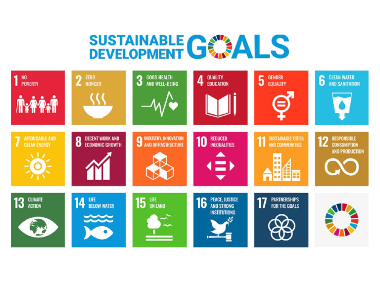 SDG | PDF