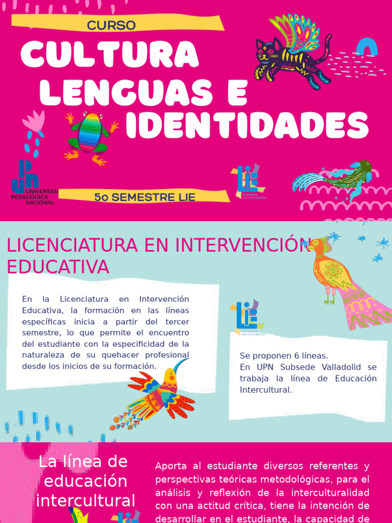 Lengua, Cultura e Identidades | PDF | Interculturalidad | Sociedad